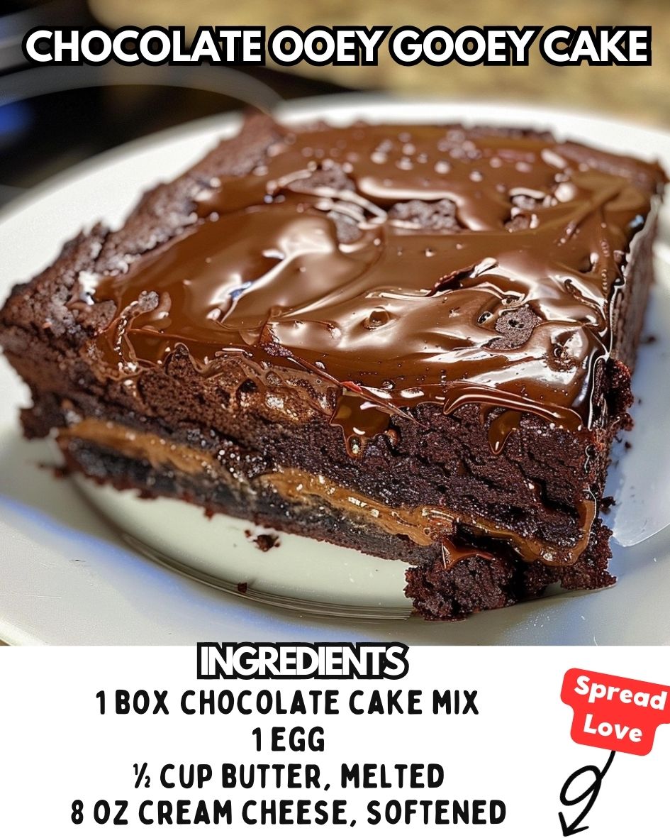 Chocolate Ooey Gooey Cake – Arch Recipes