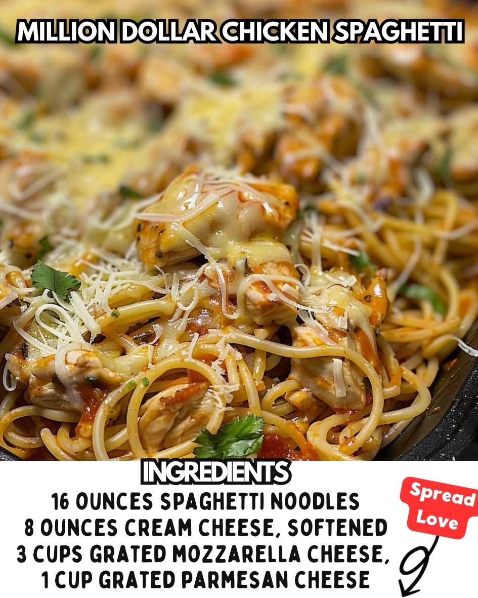 Million Dollar Chicken Spaghetti